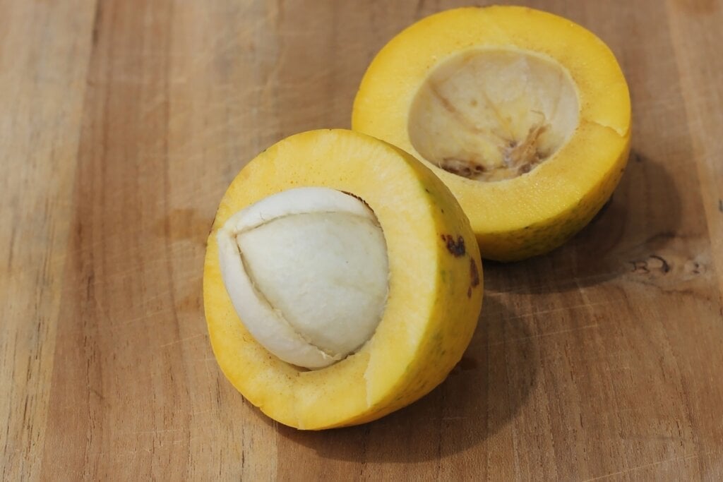 5 benefícios do bacuri para a saúde e como usá-lo – CartaCapital